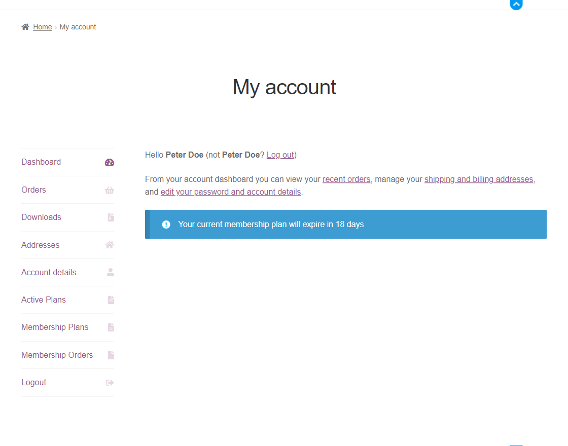 WooCommerce Multi Company SaaS Plugin Build Website Like Shopify/Wix by webkul